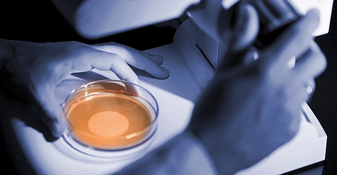 Rheo-Confocal Microscopy: MCR 702e Space MultiDrive and Rheo-Optics ...