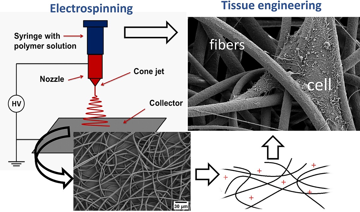 Nanomaterials Guest Webinar Series: Electrospun polymer fibers for ...