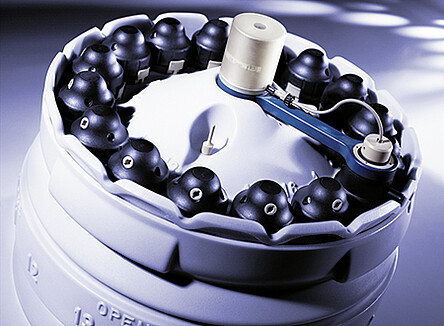 Microwave digestion rotor: Rotor 16MF100 | Anton Paar