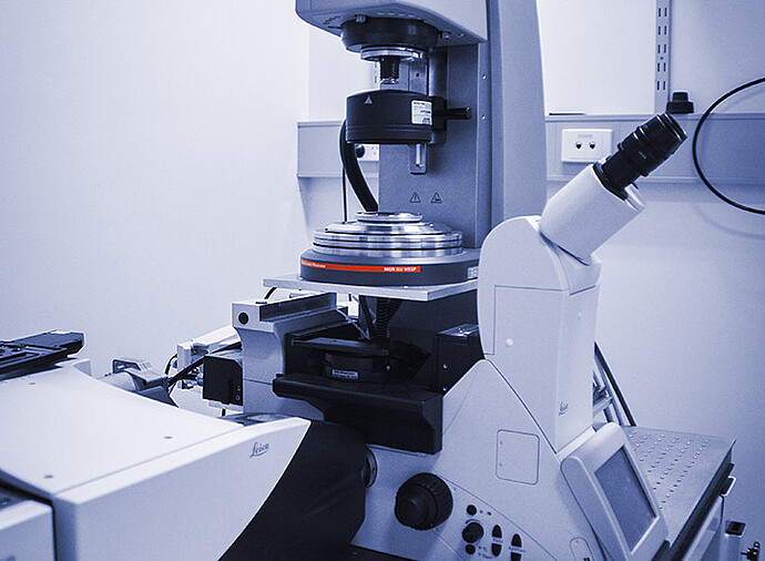 Rheo-Confocal Microscopy: MCR 702e Space MultiDrive and Rheo-Optics ...